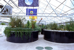 Technozoic: Waste treatment in greenhouse wetlands